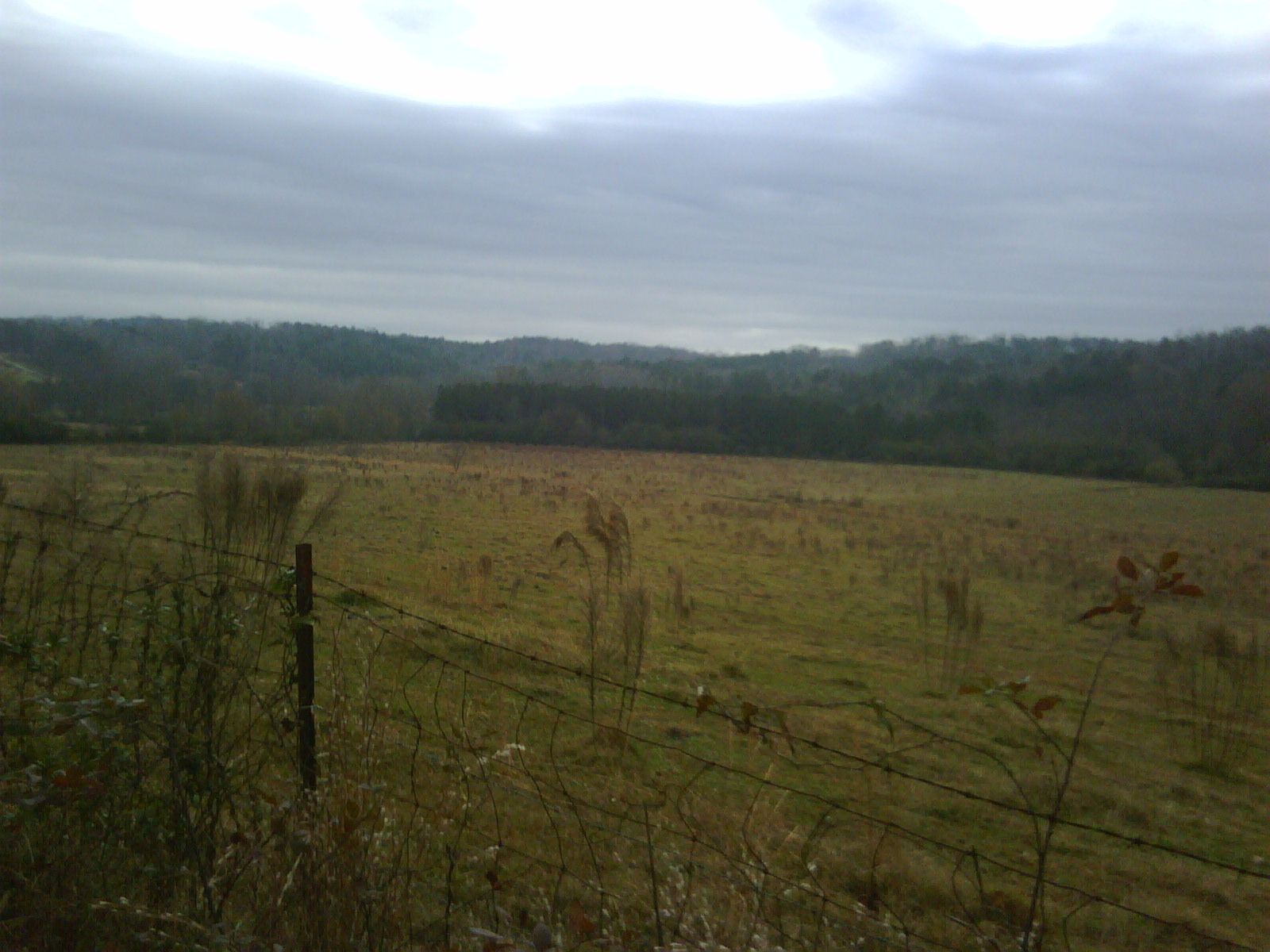 Locations Hub - Camp Mikell Cabin