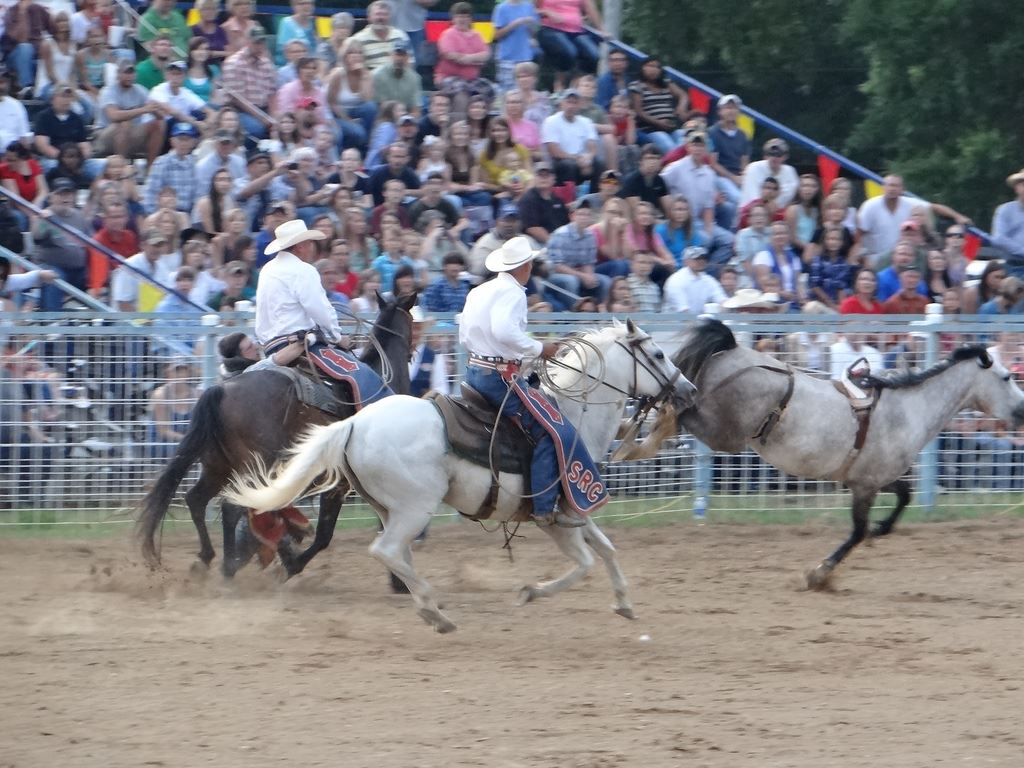 Locations Hub - Shady Dale Rodeo Grounds