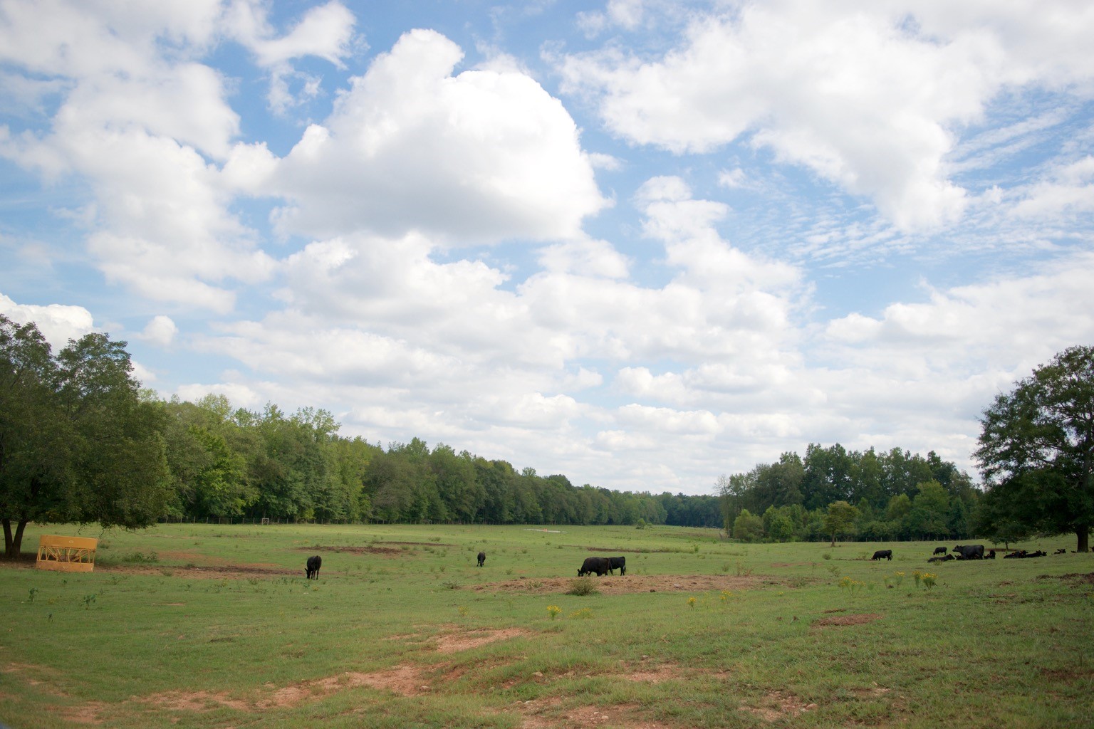 Locations Hub - Gore Farm - 600+ Acre Cattle Farm