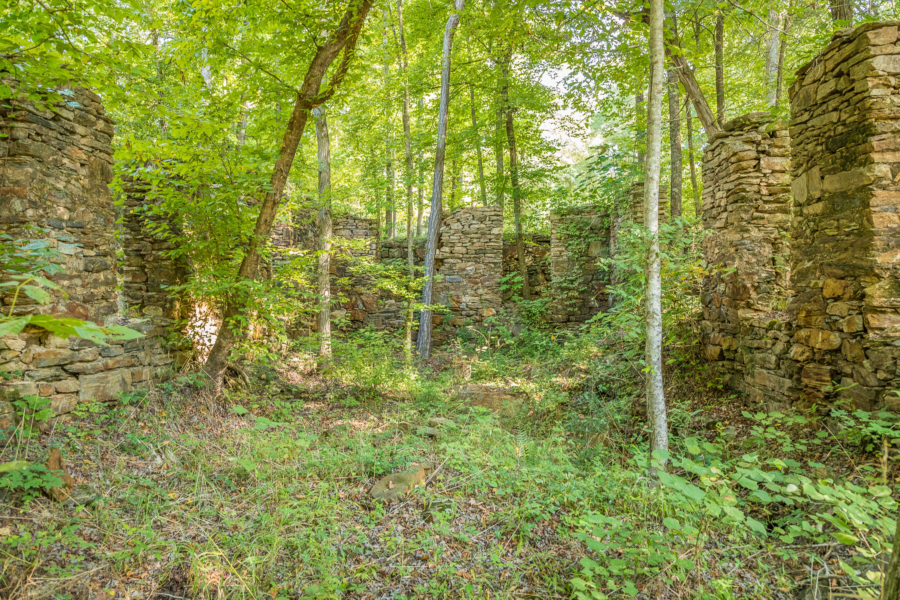 Locations Hub - Waymanville Mill ruins