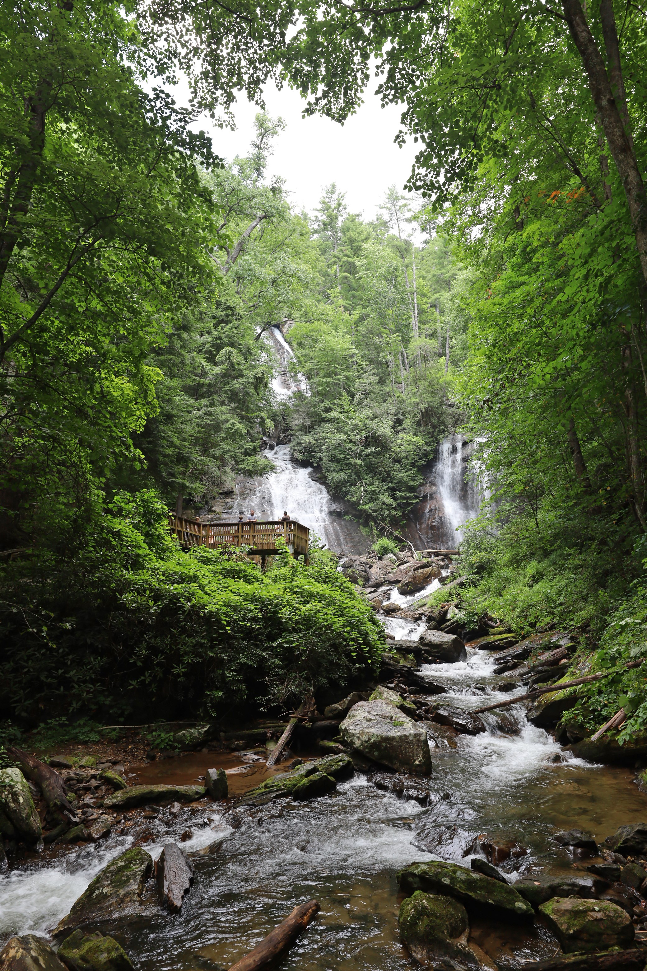 Locations Hub - Anna Ruby Falls Recreation Area