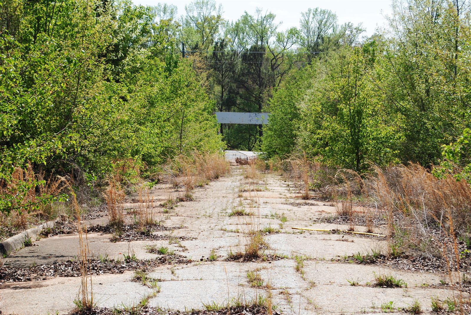 Locations Hub - Bar H Ranch